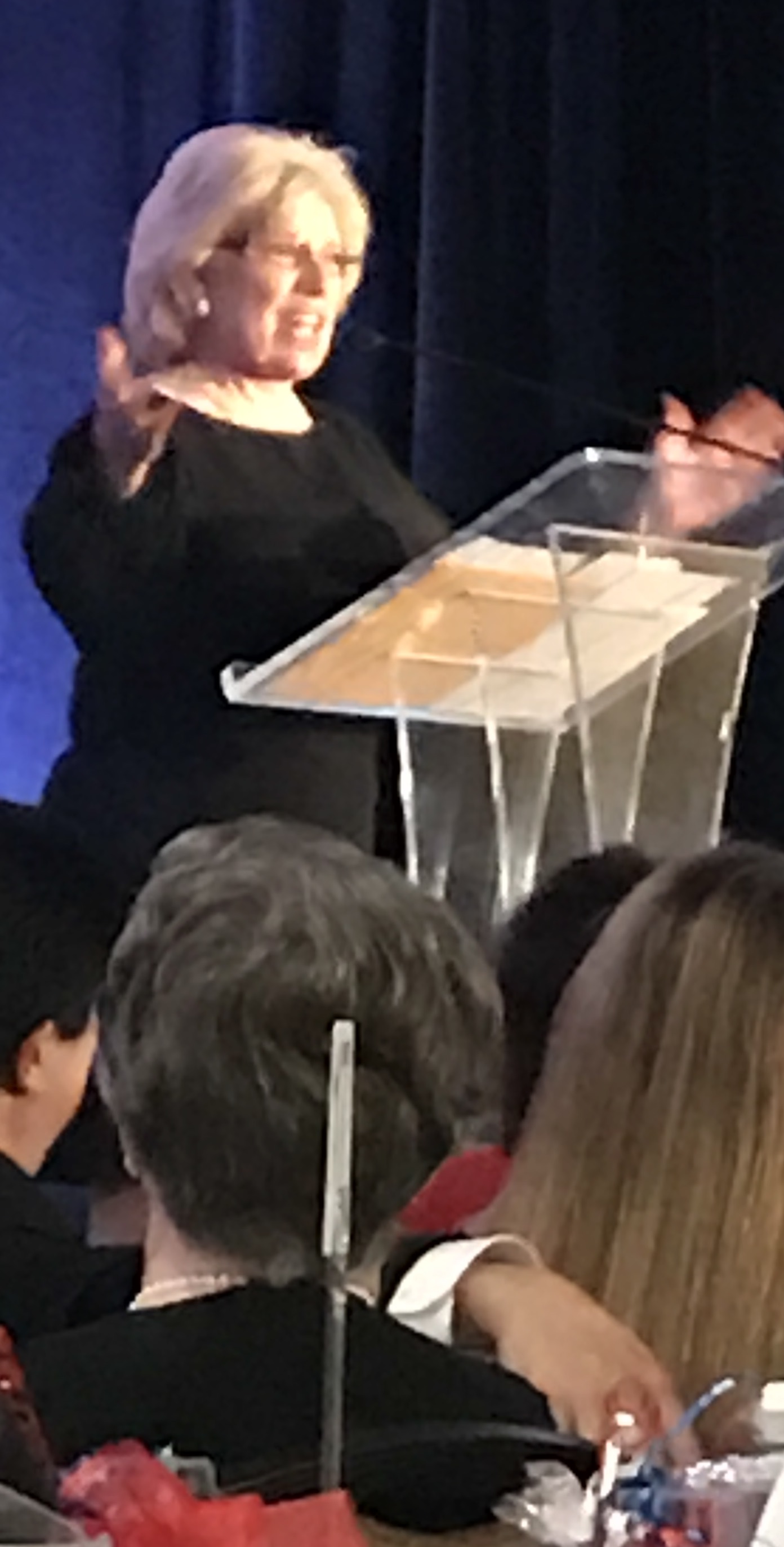 jean-fuller-speaking-feb-21-2017 | Sonya Christian's Blog