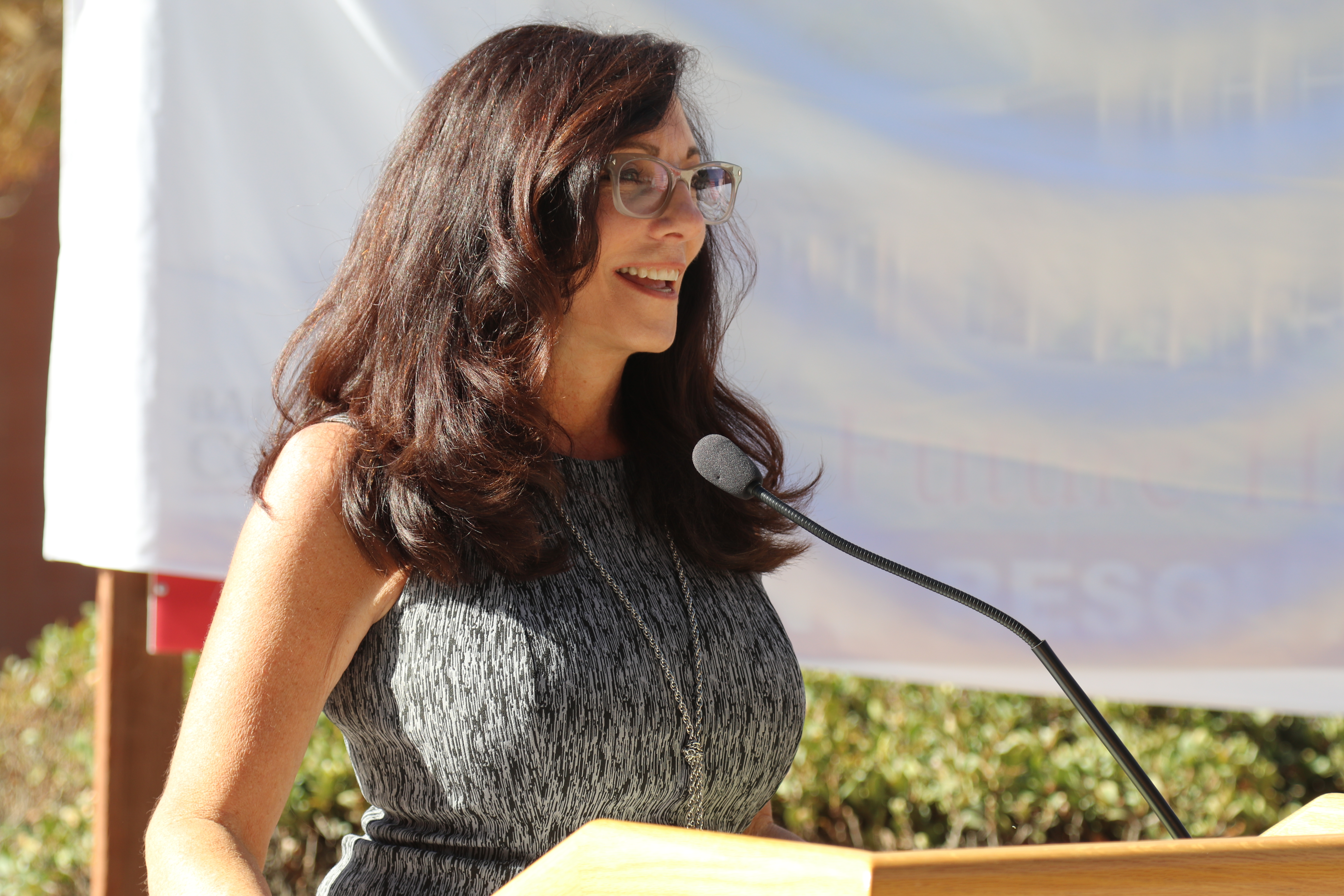 Karen Thomas Speaking at VRC | Sonya Christian's Blog