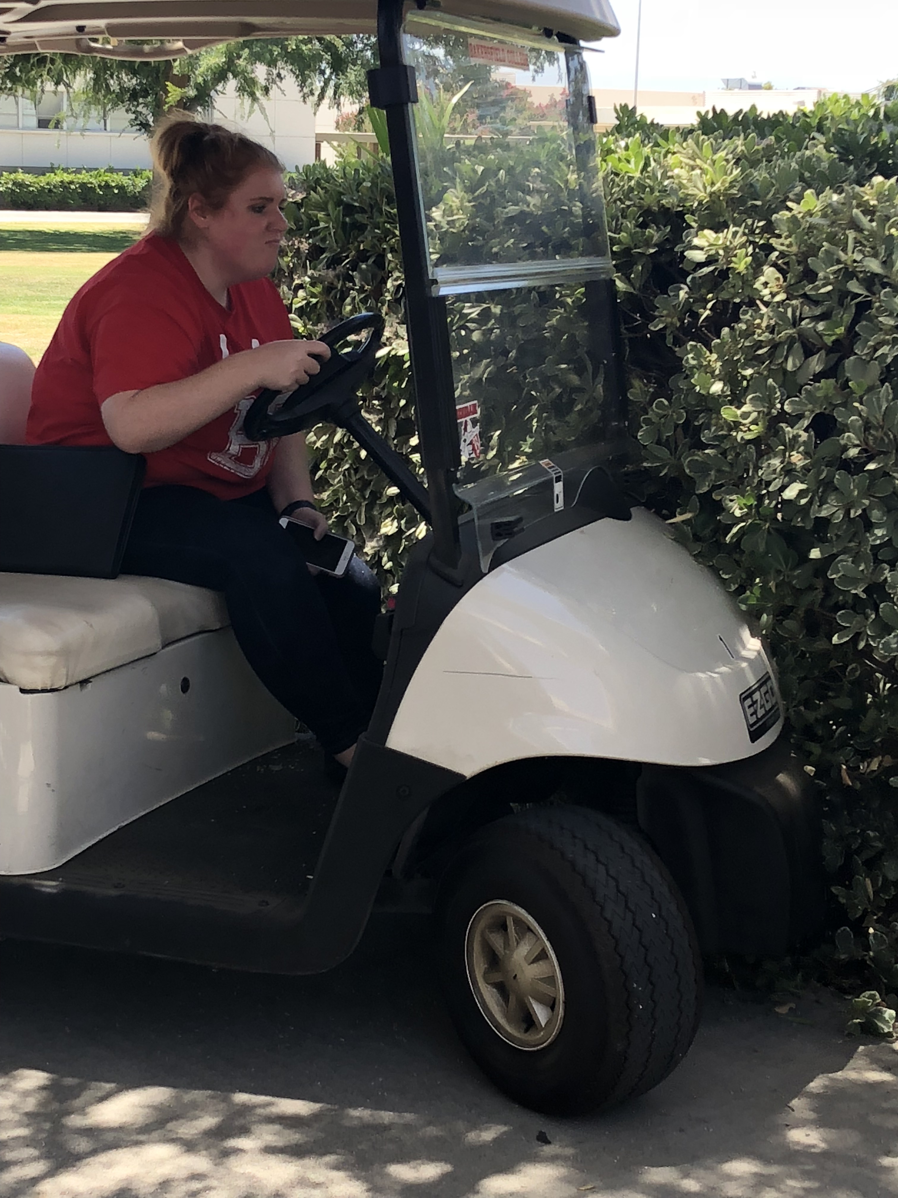 Monika Scott driving a cart and crashing into the bushes June 27 2018 ...